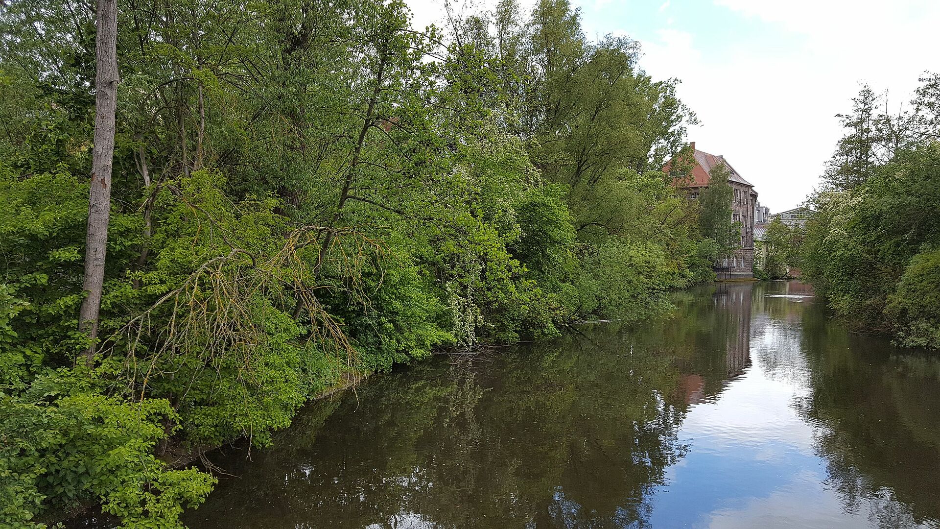 Kein Kahlschlag am Flussufer - BUND Naturschutz Fürth-Stadt